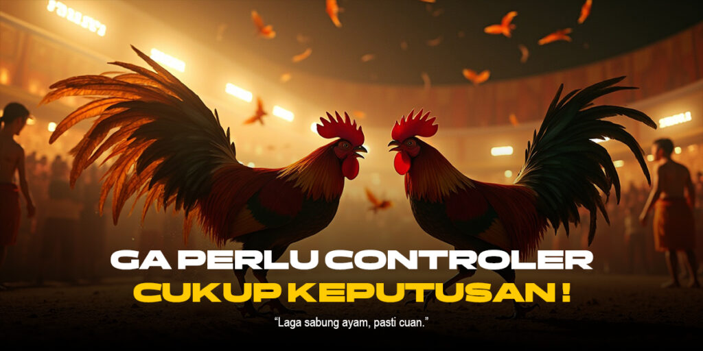 Sabung Ayam: Tradisi, Kontroversi, dan Perkembangannya - TechnoBet